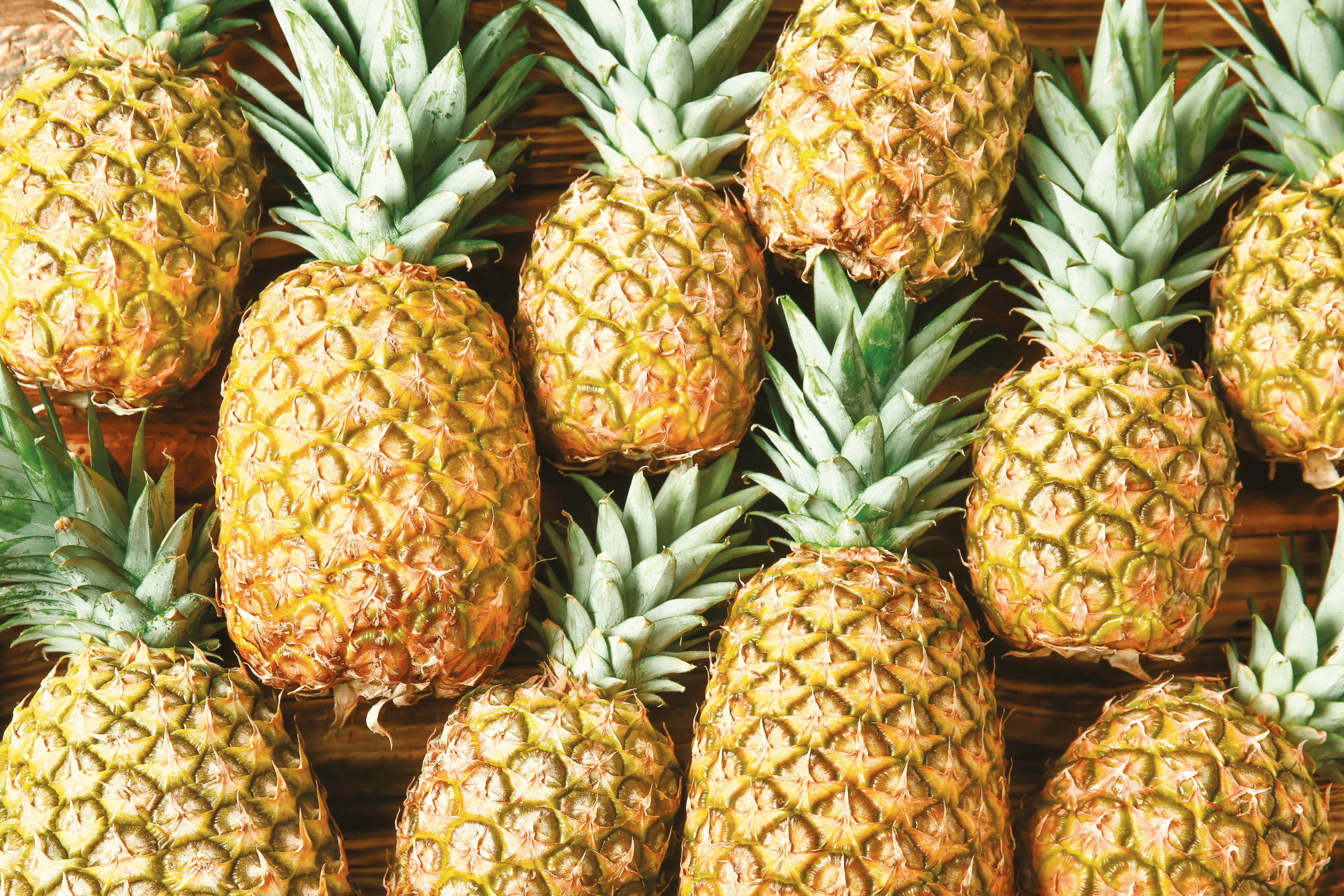 Jennifer Salazar, Pineapple farmer | Adamance